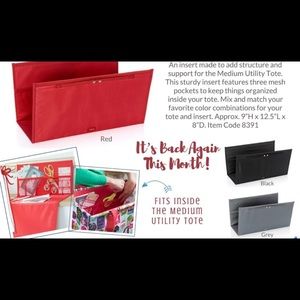 thirty-one | Bags | Thirty One Medium Stand Tall Insert Black Nip ...